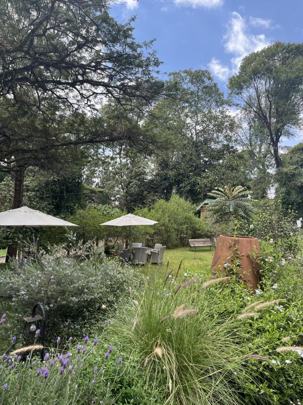 Fig & Olive - Tigoni | #NairobiEats